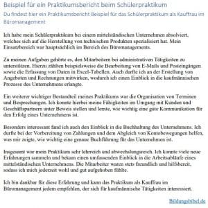 Praktikumsbericht Leitfaden für Schülerpraktikum, Beispiel, Inhalte, & PDF Vorlage
